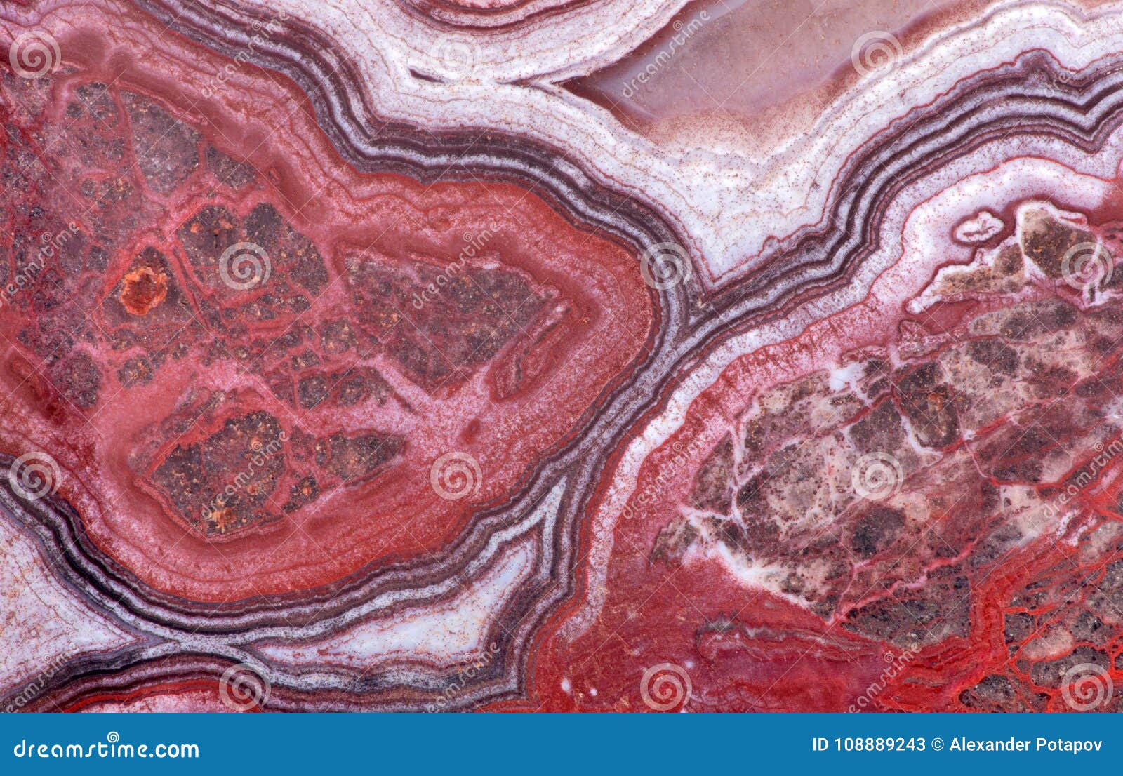 White and Red Agate Rings Macro Stock Image - Image of precious, silica ...