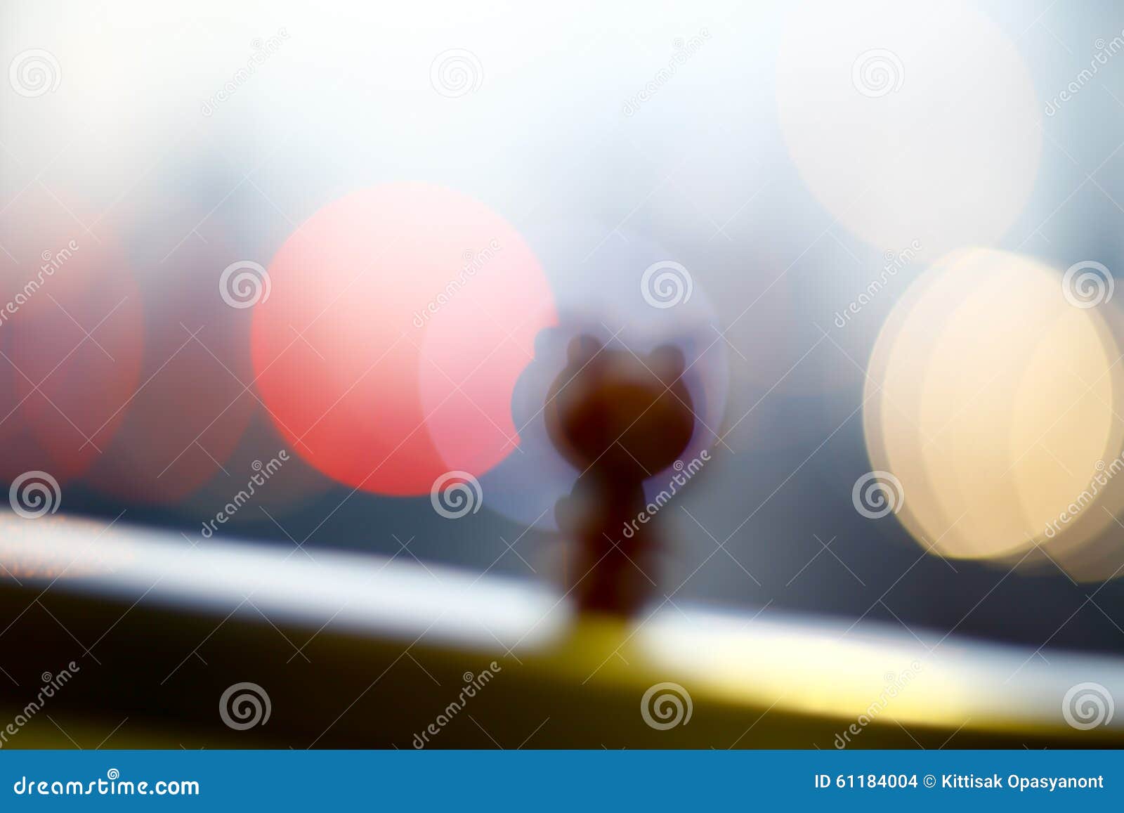 Background Color Light of Shadow Bear Stock Photo - Image of night ...
