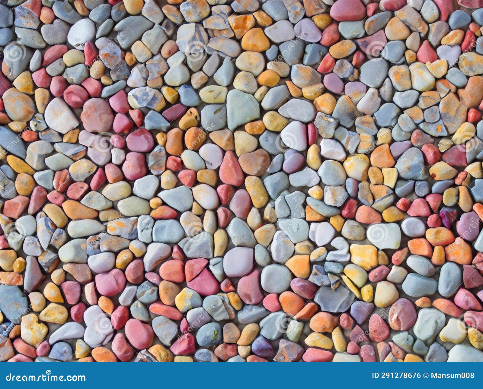 Background of Colored Pebbles on the Beach Stock Illustration ...