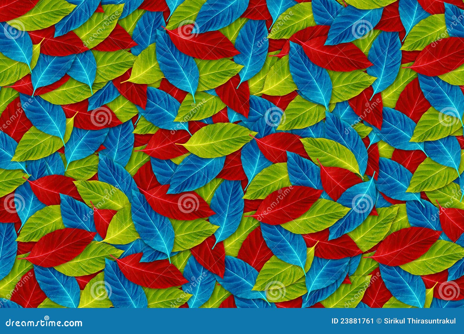 Background of Colorful Leaf Stock Image - Image of bright, closeup ...