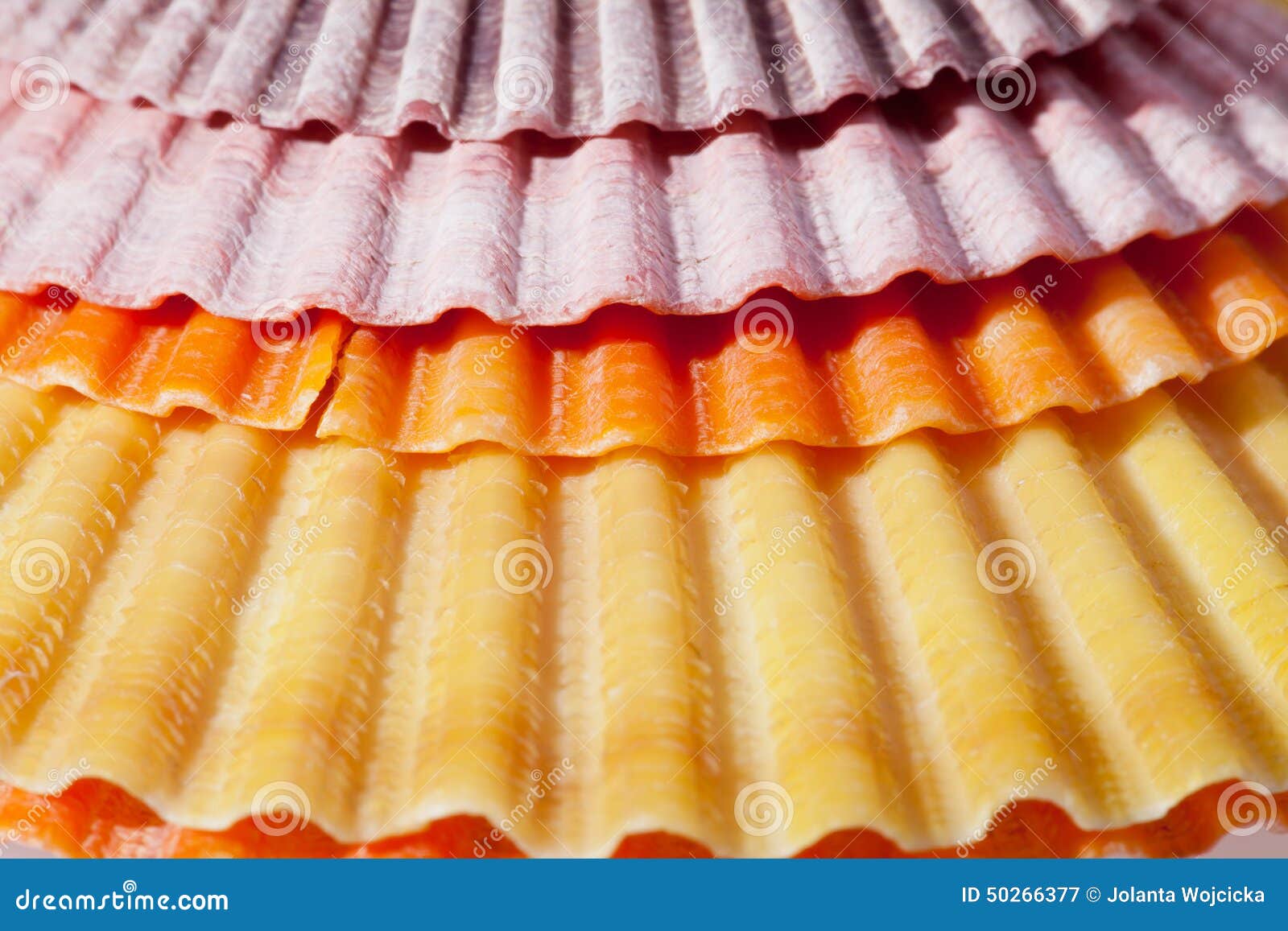 Background of Colorful Sea Shells Macro Stock Image - Image of beauty ...