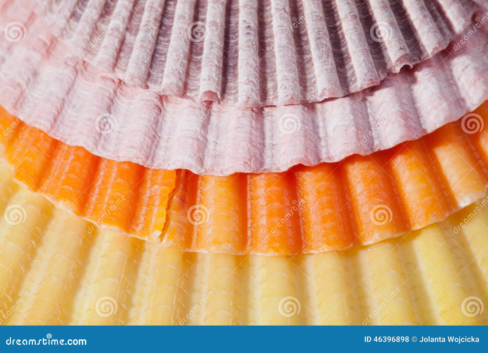 Background of Colorful Sea Shells Macro Stock Photo - Image of group ...