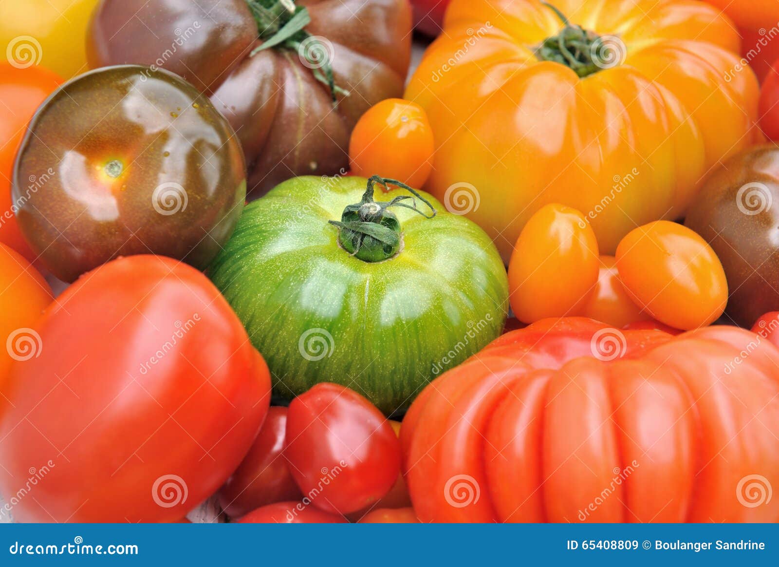 Background of Colorful Tomatoes Stock Image - Image of green, colorful ...