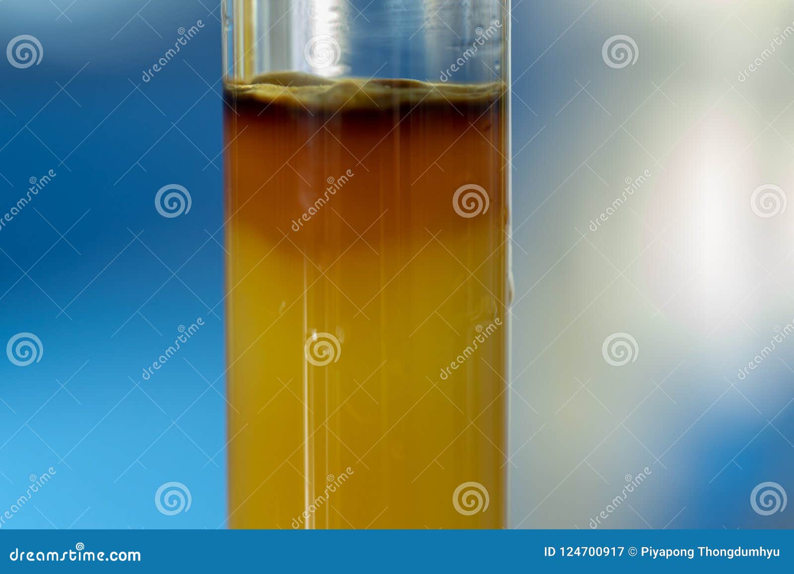 Column Chromatography Chemistry In Lab. Royalty-Free Stock Photo ...
