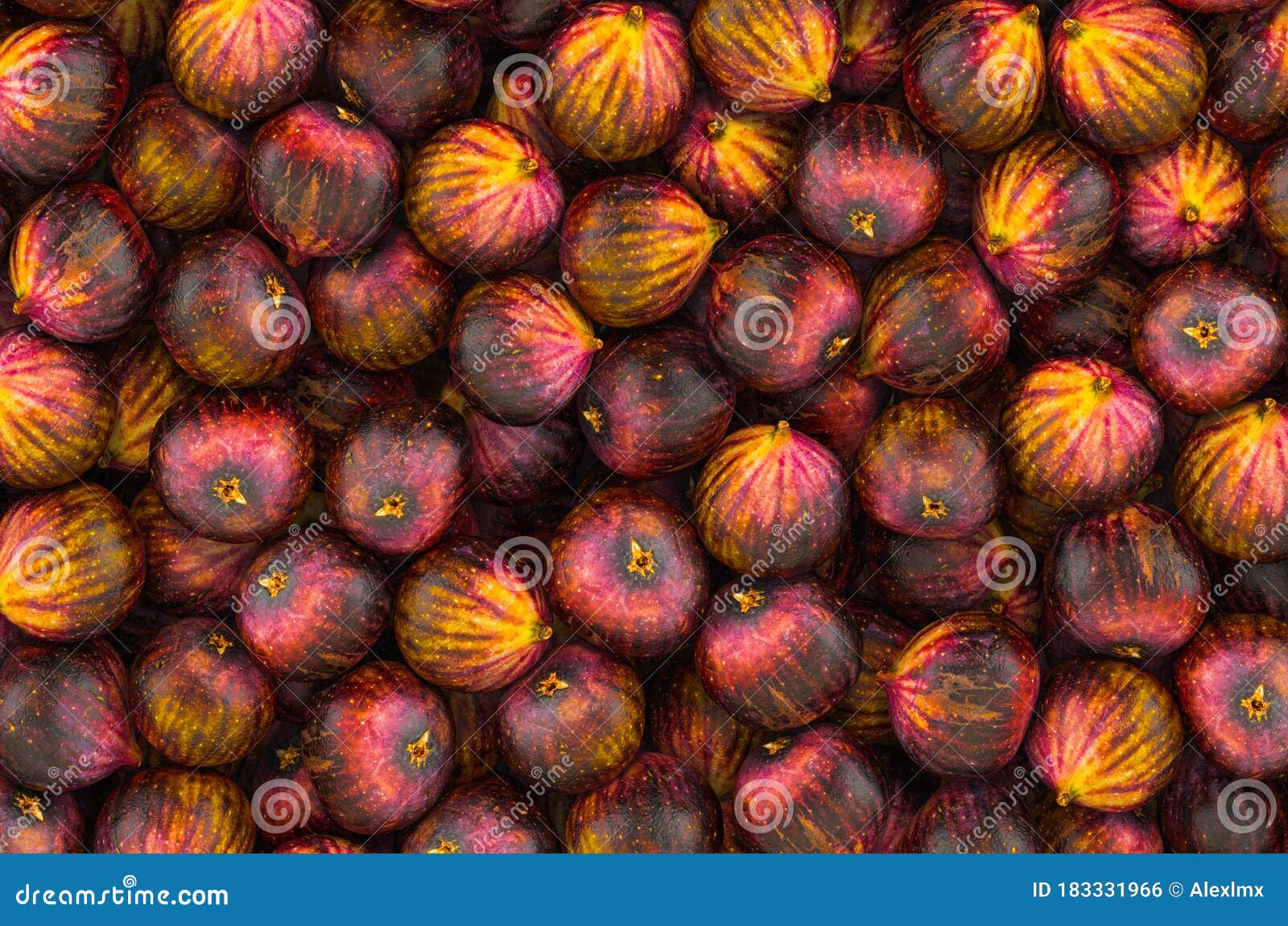 Background from Common Figs, Top View. 3D Rendering Stock Illustration ...