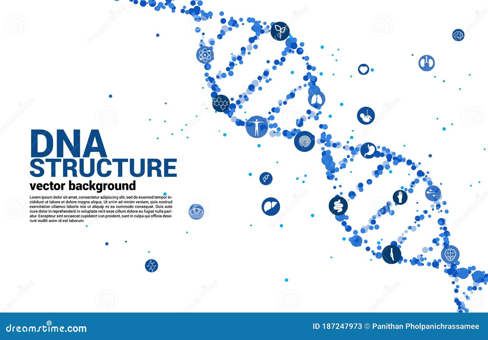 Vector DNA Genetic Structure from Dot Random with Icon. Stock Vector ...