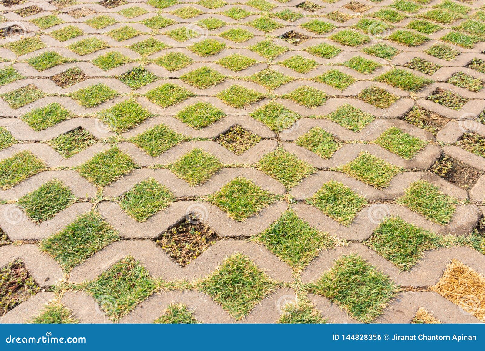 Background of Concrete Block Walkway with Green Grass Stock Photo ...