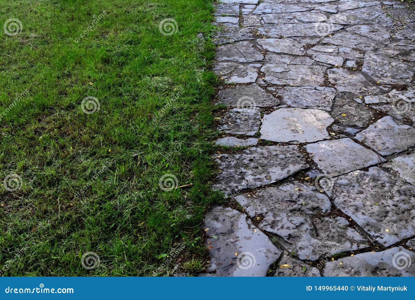 The Background Consists of Half of the Green Grass, and Half of the ...