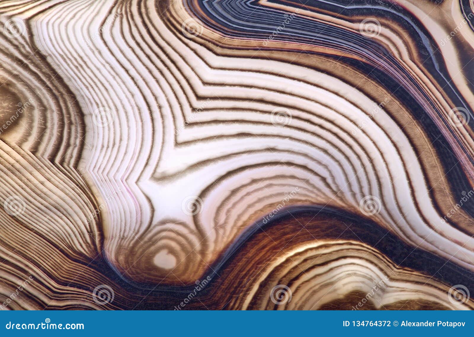 Contrast Brown Agate Structure Stock Photo - Image of semiprecious ...