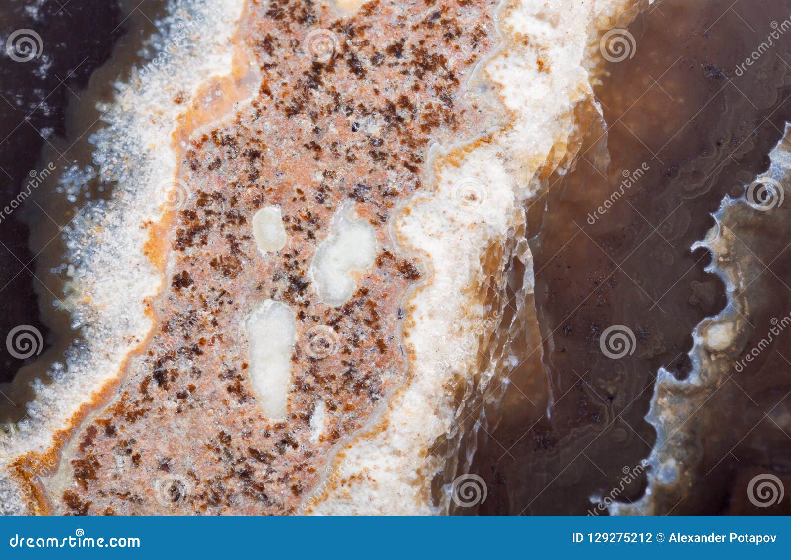 Light Stripe in Dark Brown Agate Structure Stock Photo - Image of ...