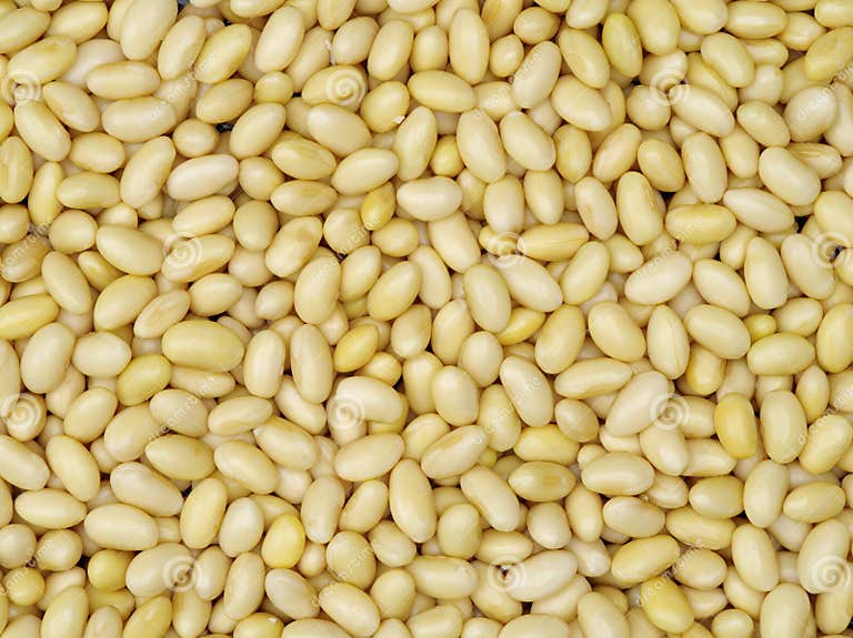 Cooked soybean stock photo. Image of snack, greenstuff - 115434024