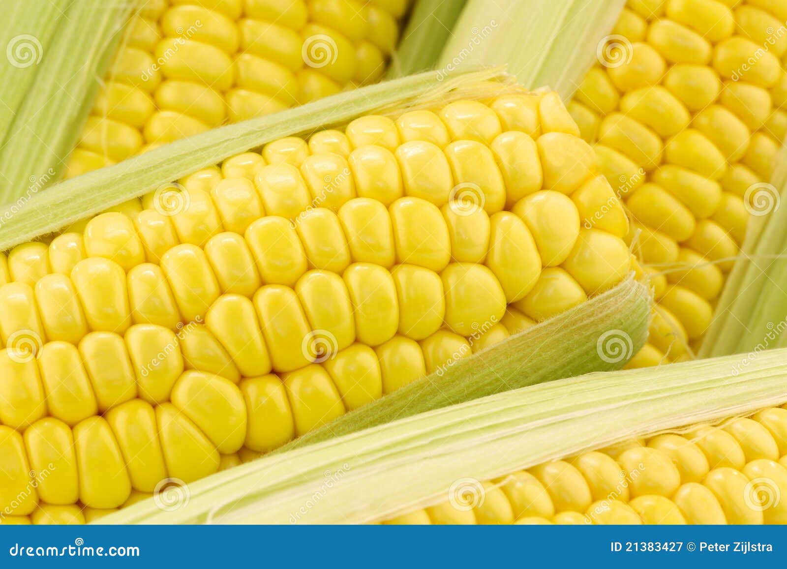 Background of Corn on the Cob Stock Image - Image of vegetable, nature ...