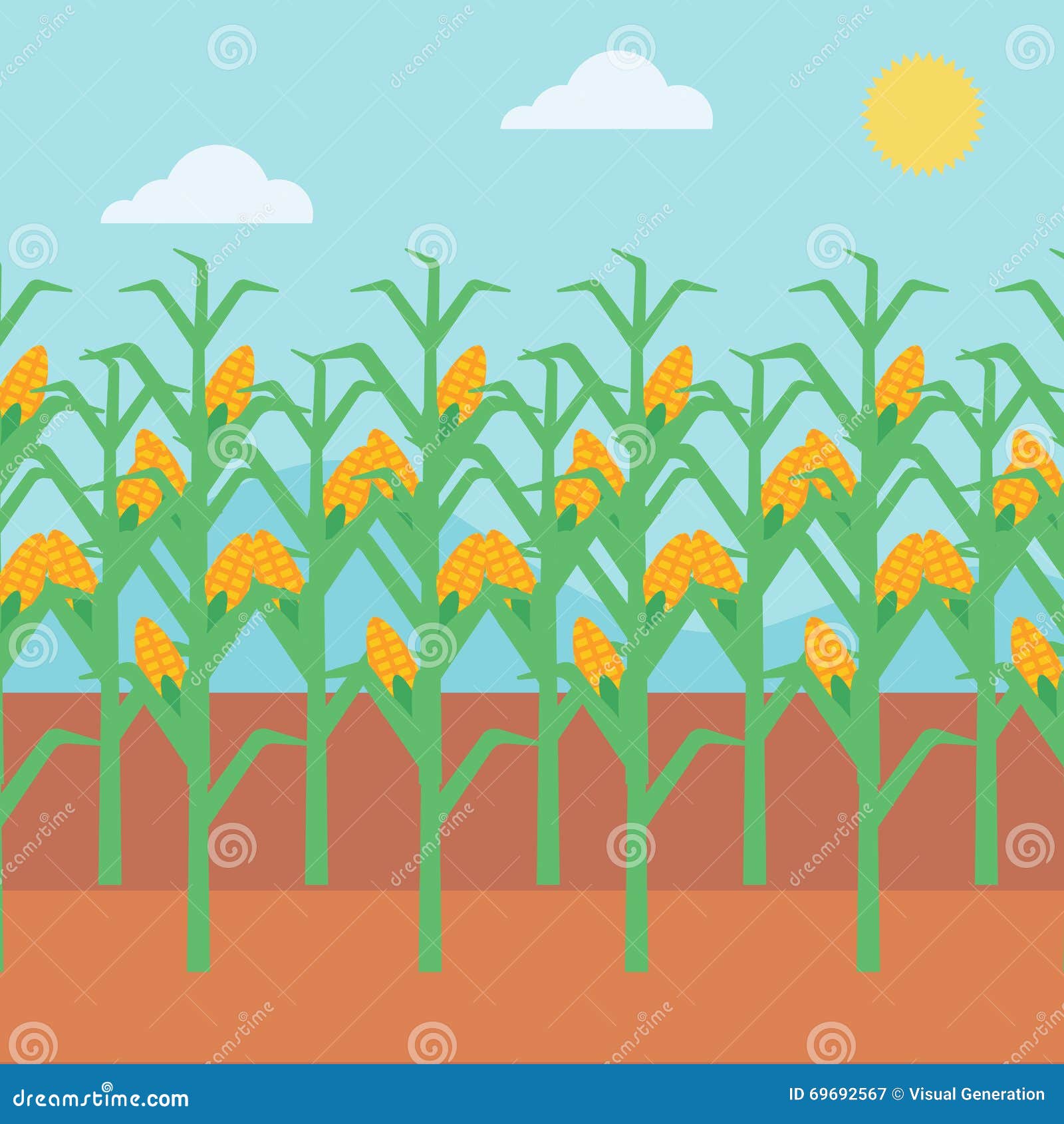 Background of corn field. stock vector. Illustration of agriculture ...