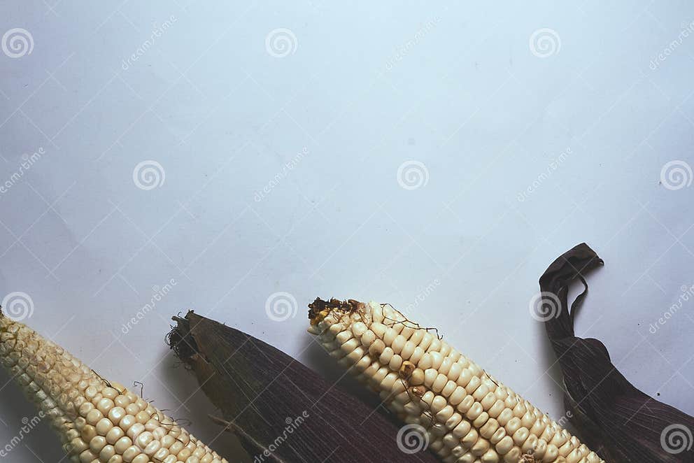 Background Corn Wallpaper To Food Stock Photo - Image of diversity ...
