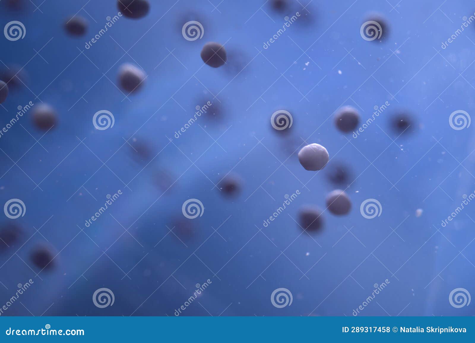 Microcapsules in Cosmetics. Background Stock Photo - Image of ...