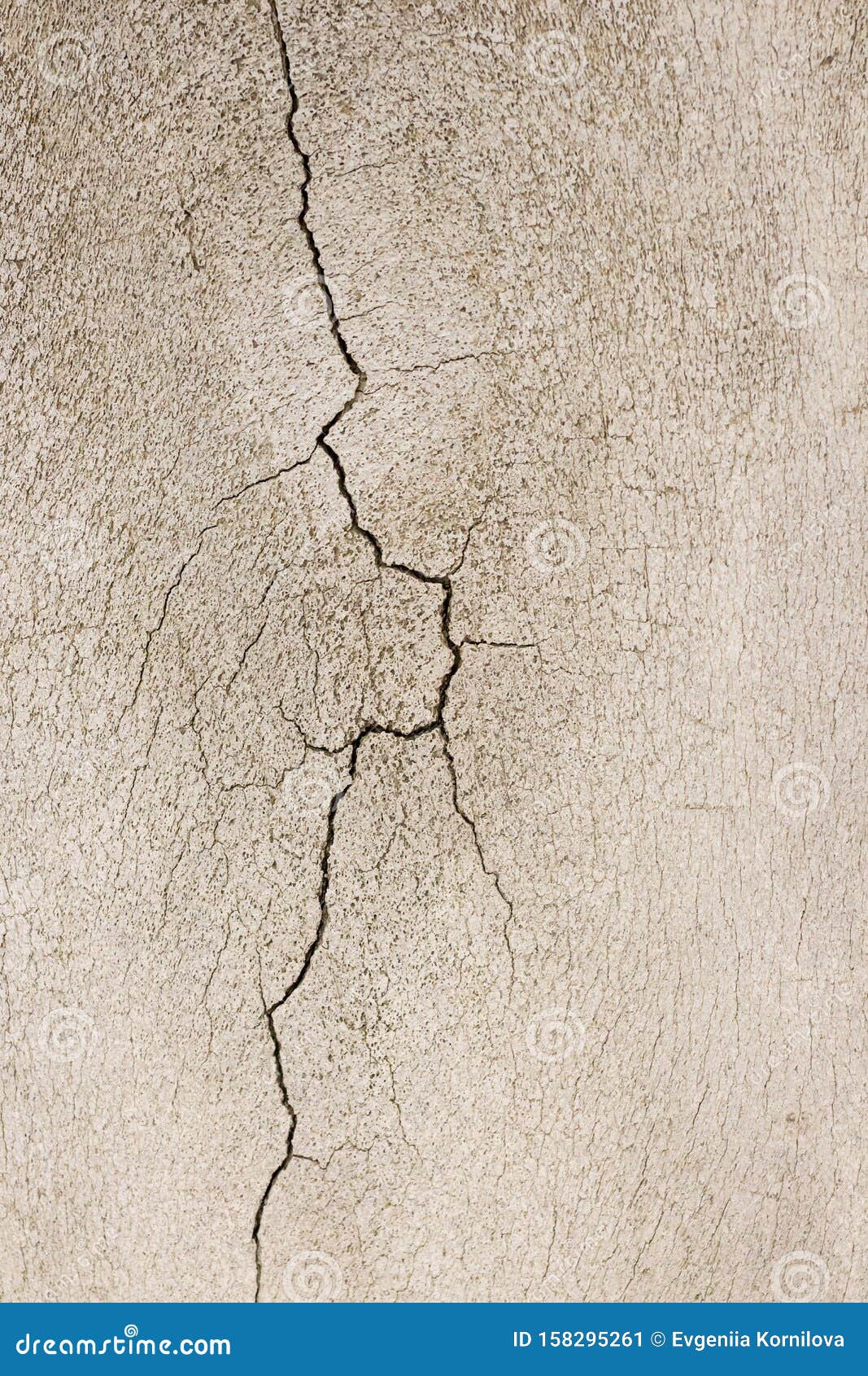 Close-up Photography of Crack on the Bone Stock Image - Image of dirt ...