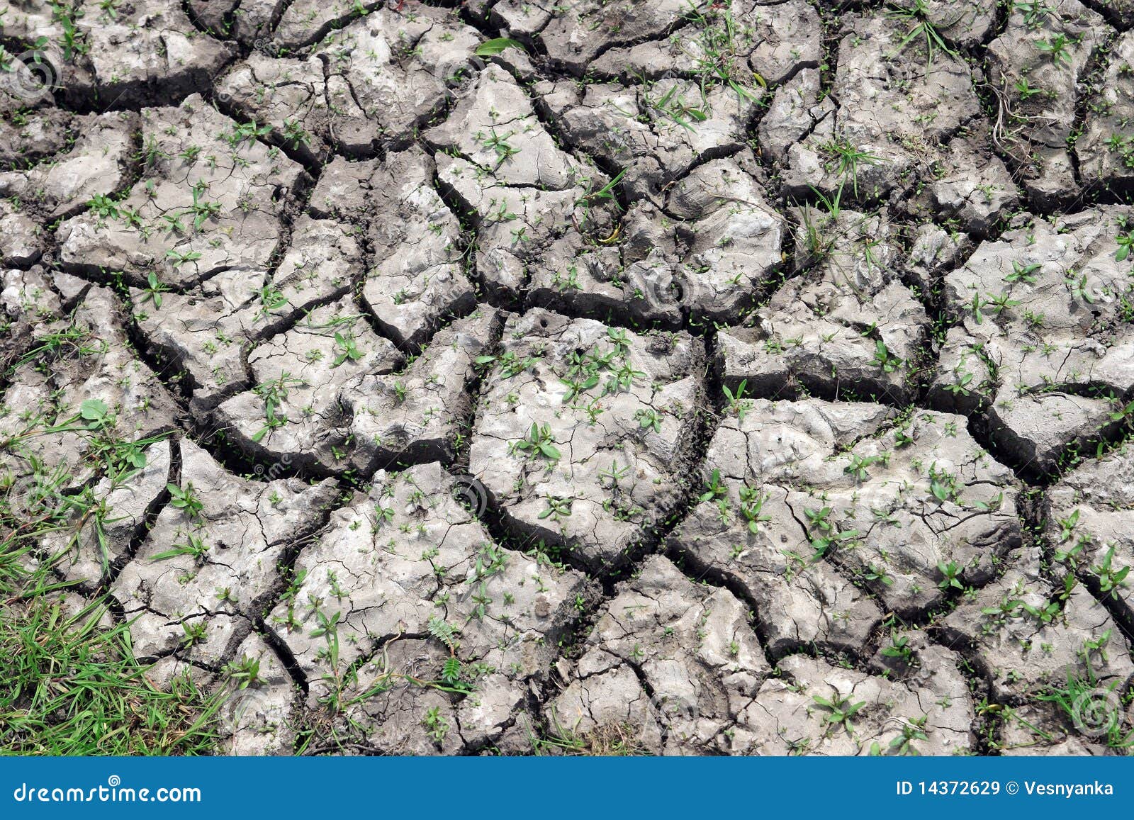 Background cracked earth stock image. Image of weather - 14372629