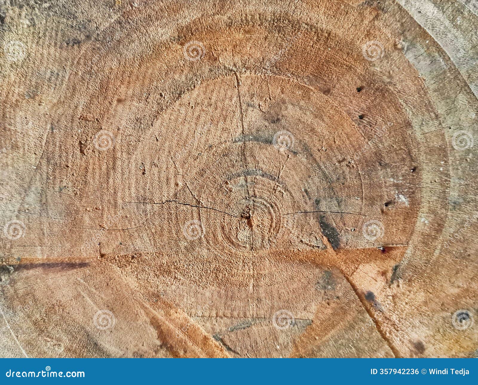 Background of Cracked Old Wood Tree Ring Texture Stock Photo - Image of ...