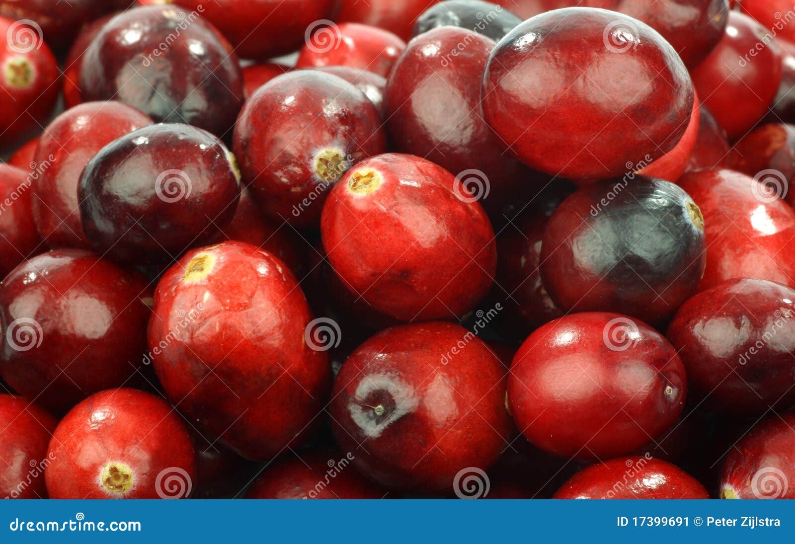 Background of cranberries stock image. Image of freshness - 17399691