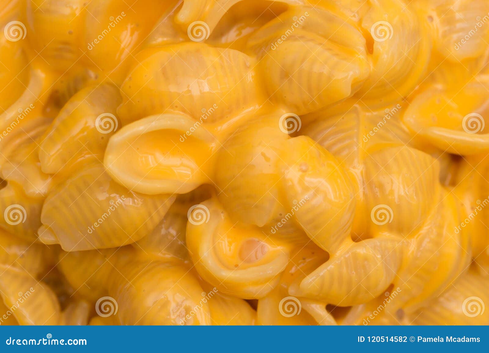Macaroni Shells and Cheese stock photo. Image of creamy - 120514582