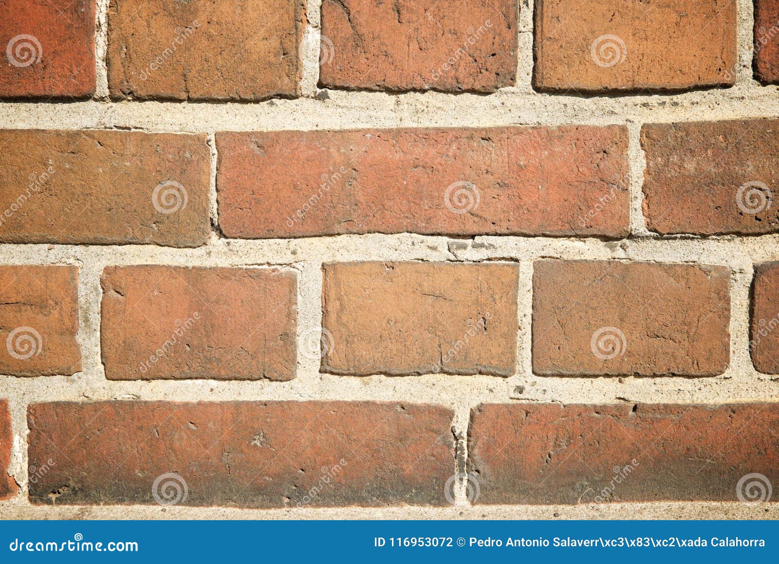 Brick wall view stock photo. Image of house, cement - 116953072