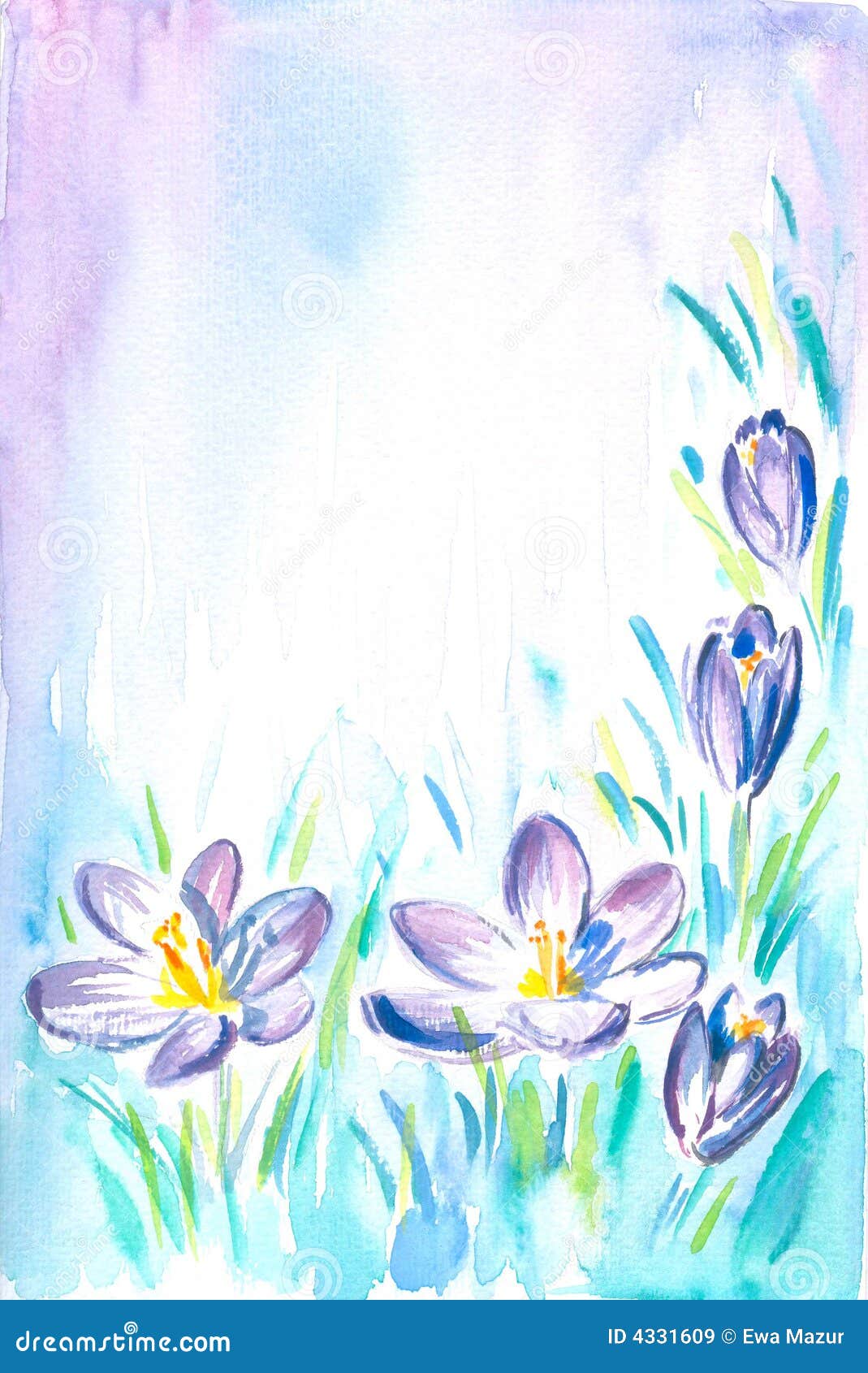 Background with crocus stock illustration. Illustration of season - 4331609