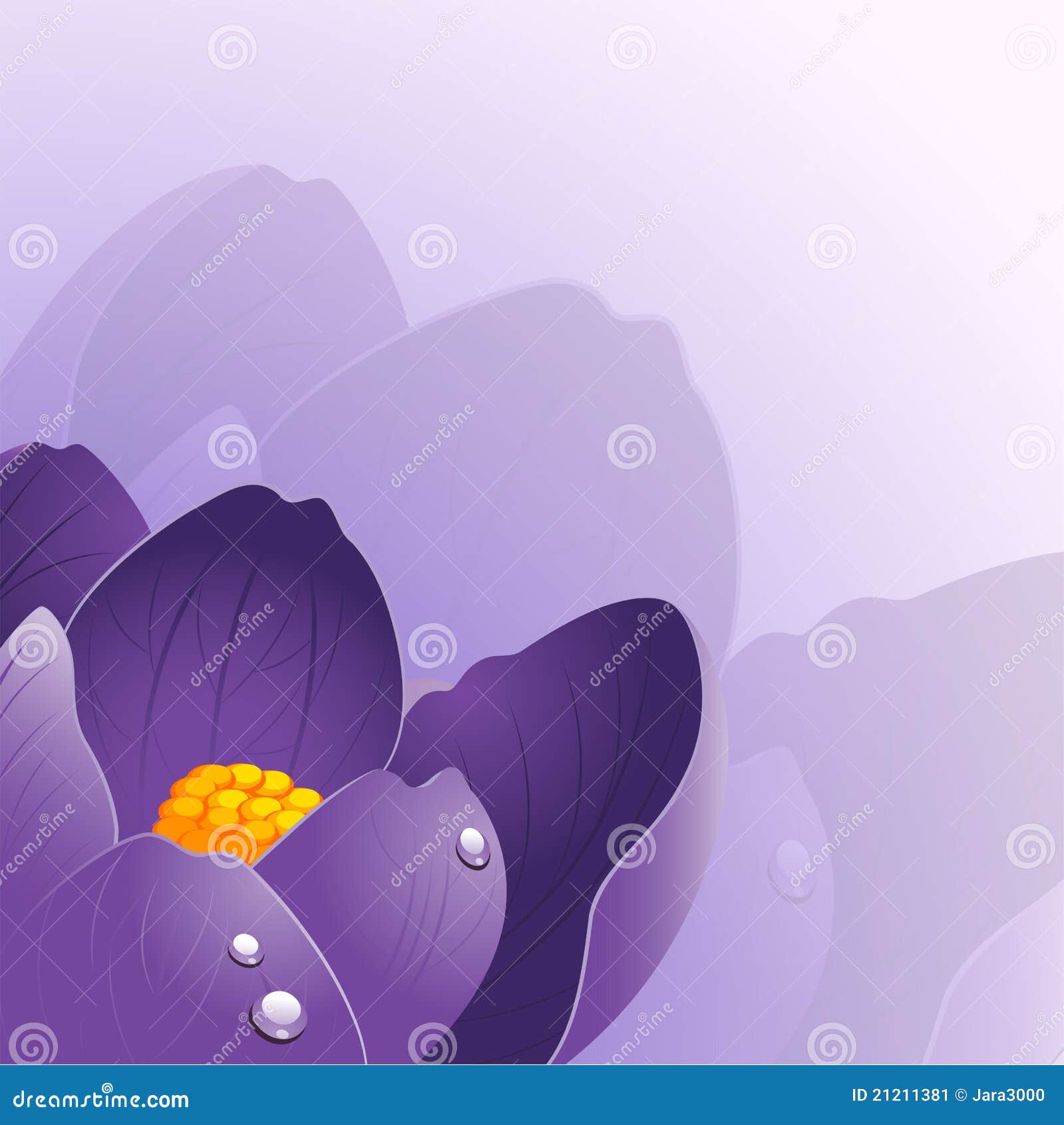 Crocus Flower With Bulb Clipart Set, Watercolor Growing Stages Of Plant ...