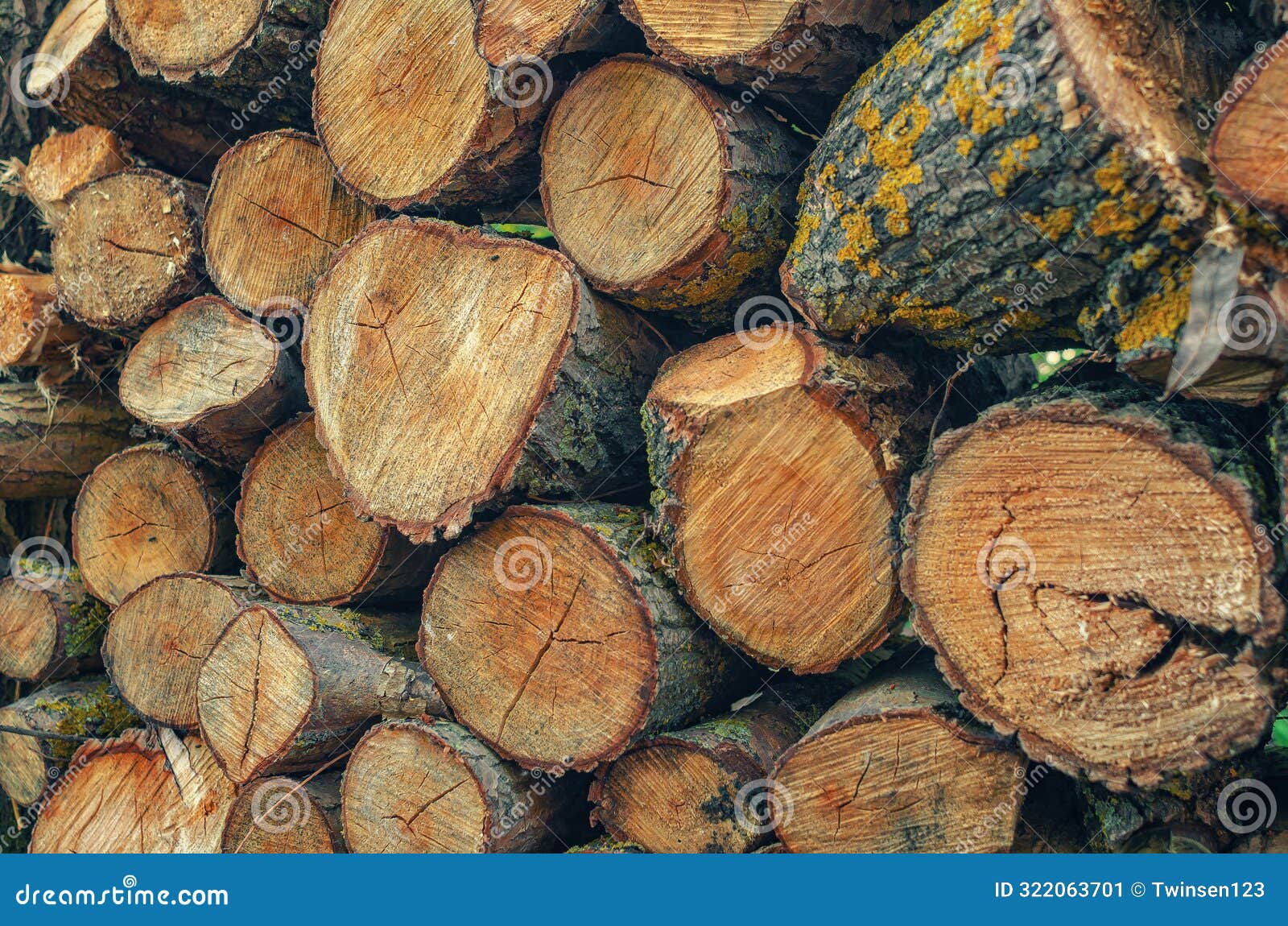 Background of Cross-section Cylindrical Logs. Wall of Cut Logs with ...