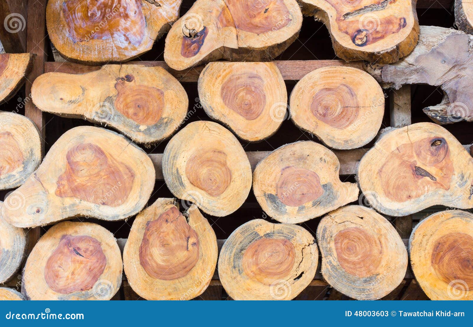 Background of Cross Section of Tree Trunks, Used As Wall Stock Image ...