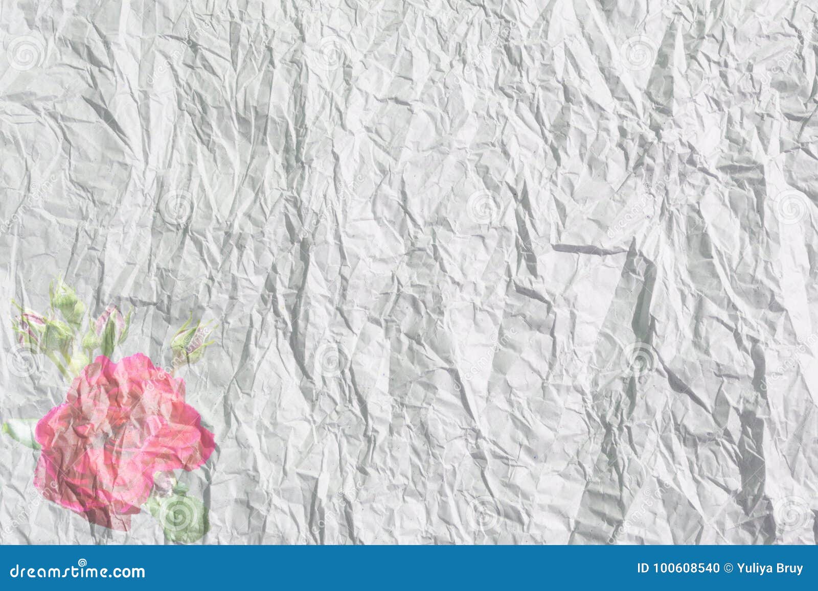 Background, Crumpled Paper with Rose Stock Photo - Image of antique ...