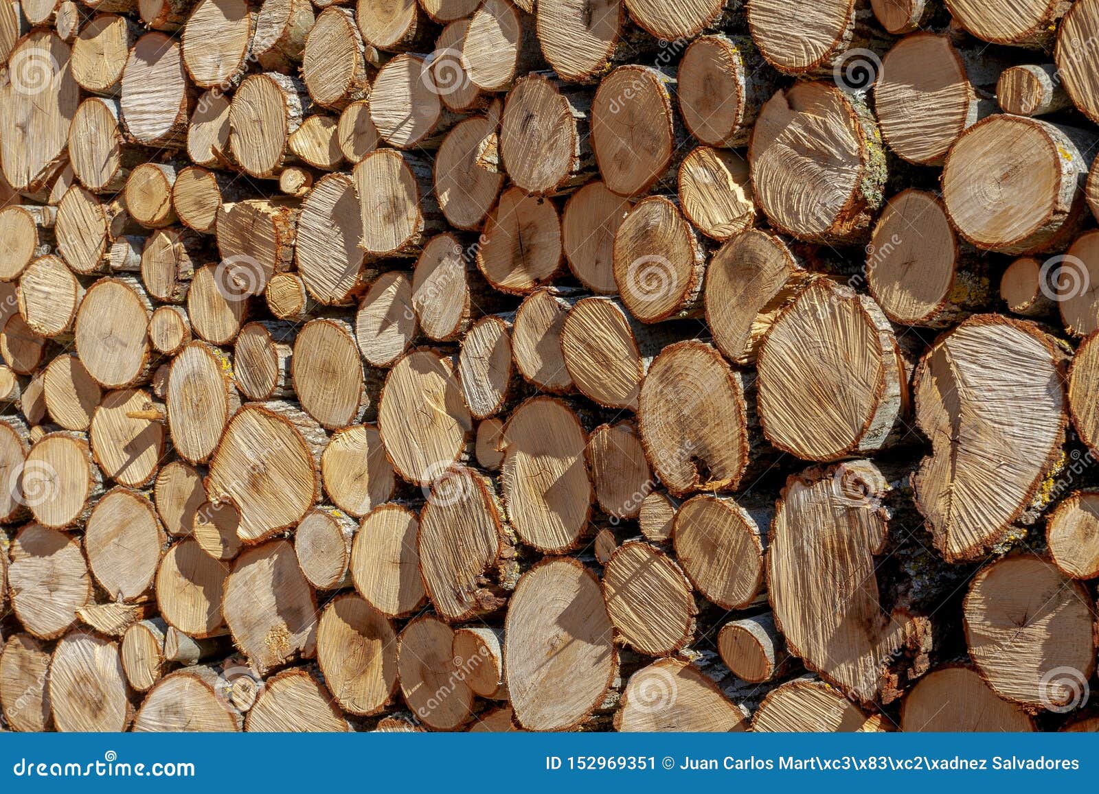 Background of Cut and Stacked Tree Stumps. Spain Stock Image - Image of ...
