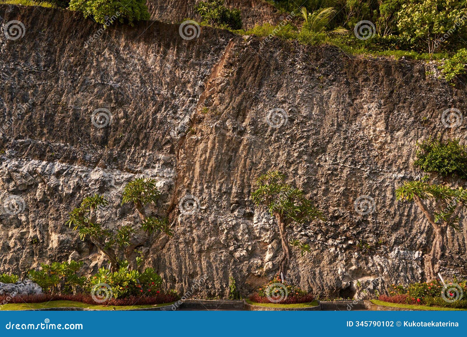 The Background is a Cut of a Stone Mountain with Growths. the Texture ...