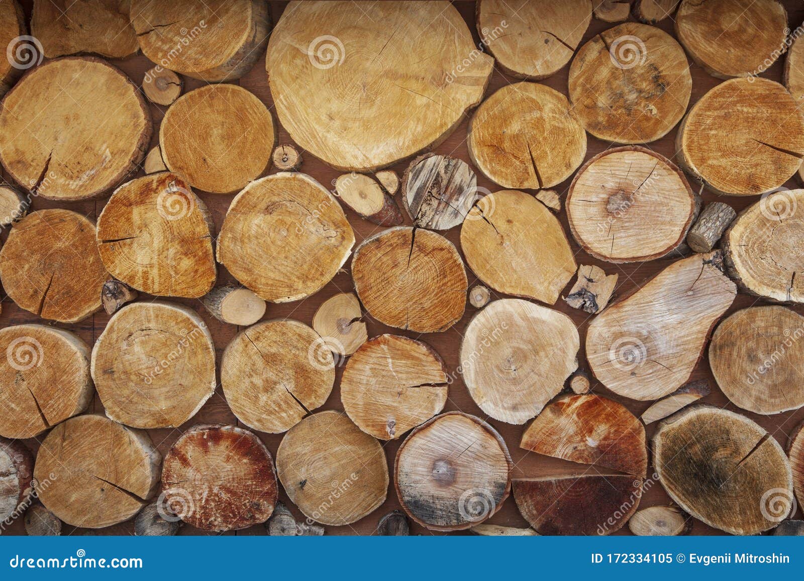 Background of Cut Tree Trunks Stock Image - Image of closeup, concrete ...