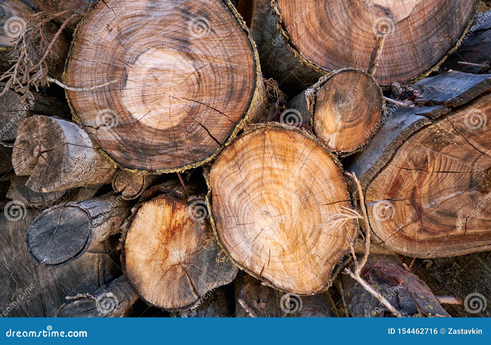 Background of Cutted Logs. Firewood Stack Natural Background Stock ...