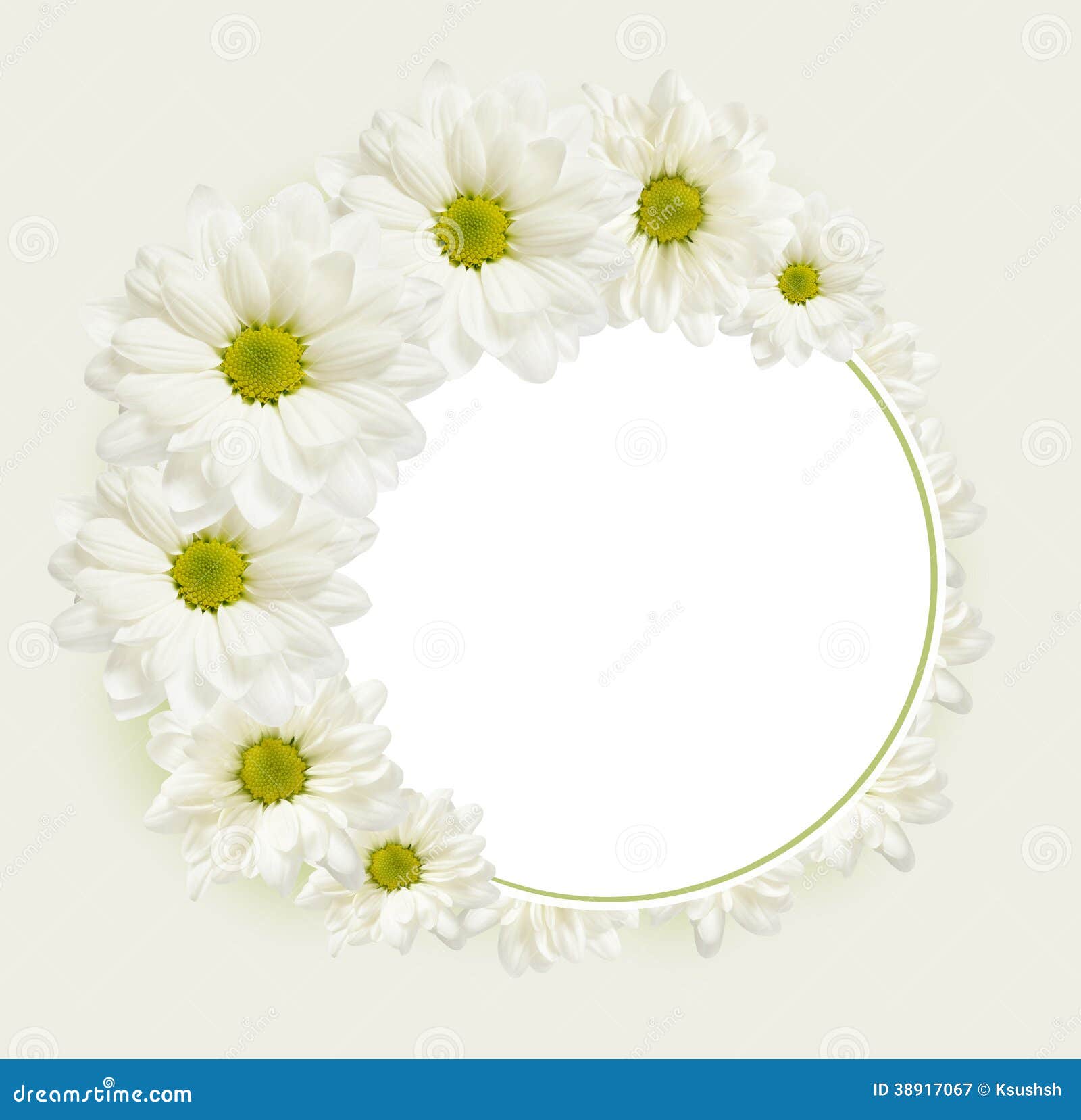 Background with Daisy Flowers Stock Image - Image of circle, blossom ...