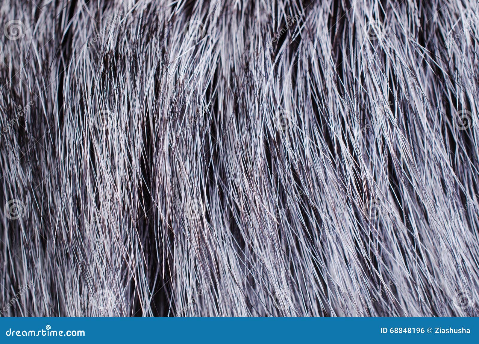 Background of dark fur stock photo. Image of backdrop - 68848196