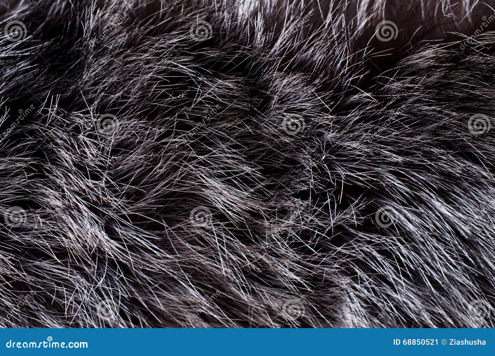 Background of dark fur stock image. Image of black, coat - 68850521