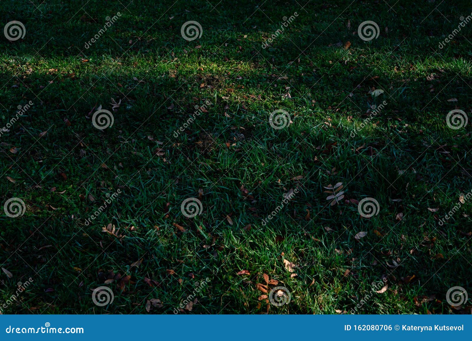 Background of Dark Green Grass with Sun Gaps on it. Stock Photo - Image ...