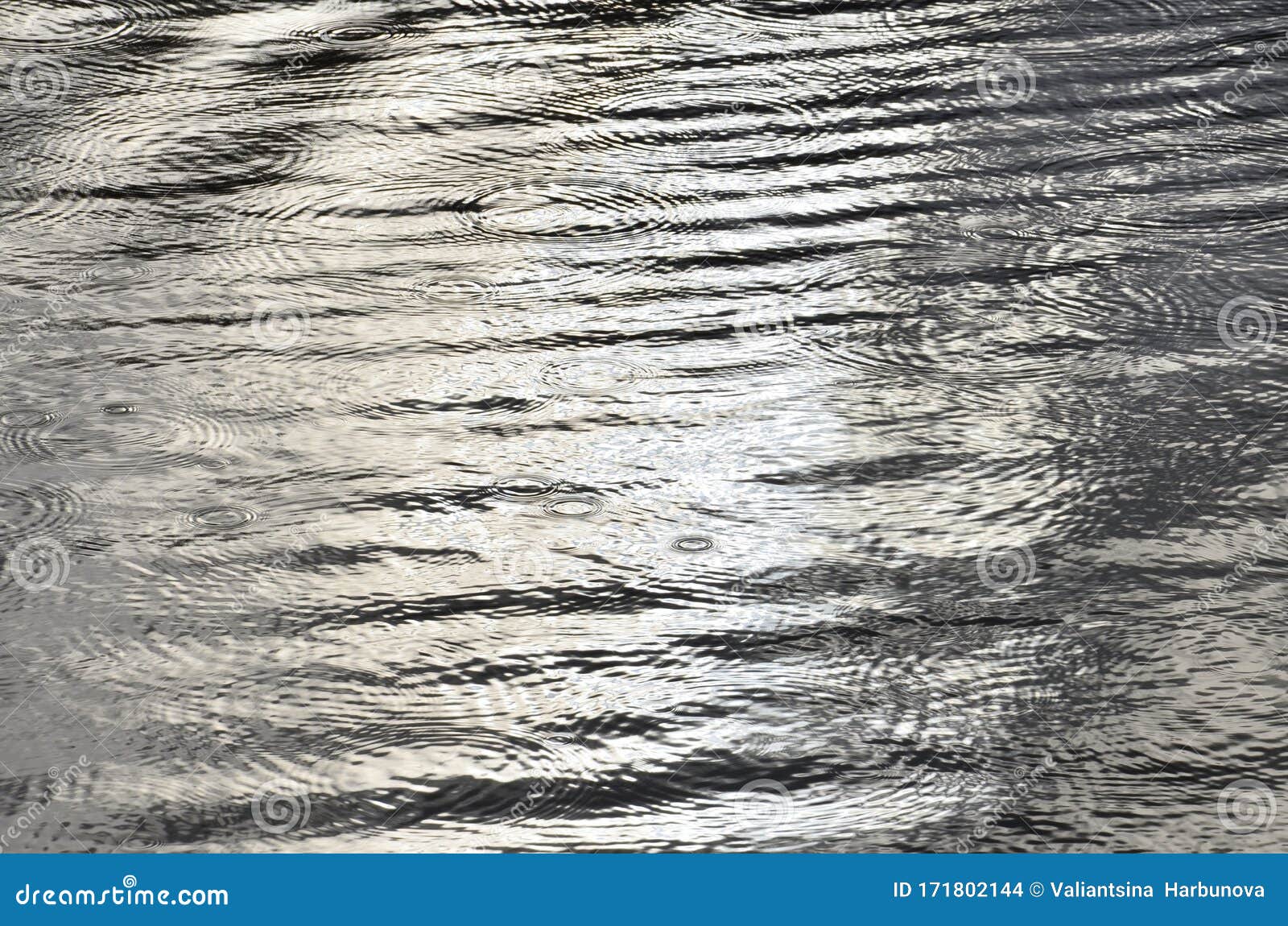 Background Dark Surface of the Water. the Texture of the Water Ripples ...