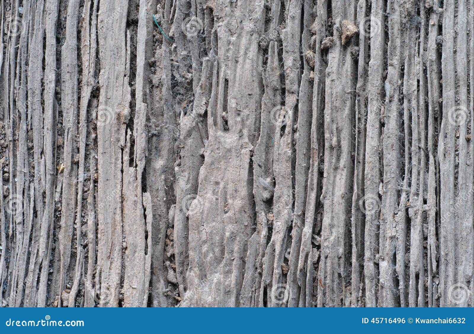 Background of Decay Wood stock photo. Image of corroded - 45716496