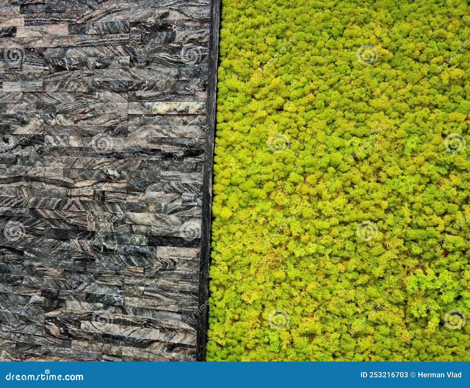 Background of Decorative Lichens and Decorative Stone Stock Image ...