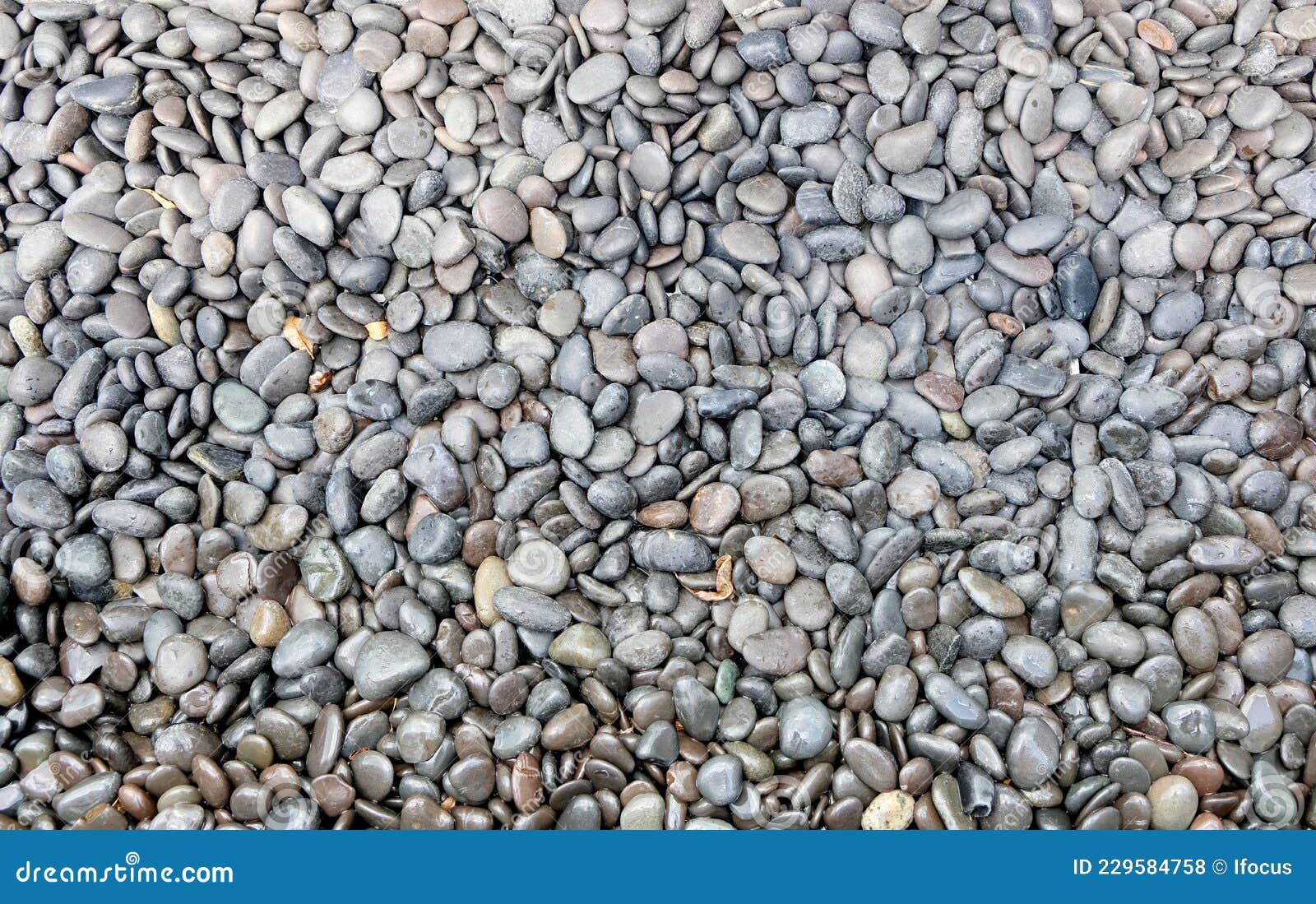 Background of Decorative Light-grey Small Polished Rocks Stock Photo ...