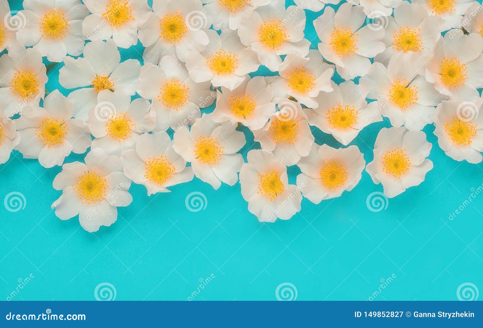 Floral Delicate Background. Stock Image - Image of rosehip, species ...