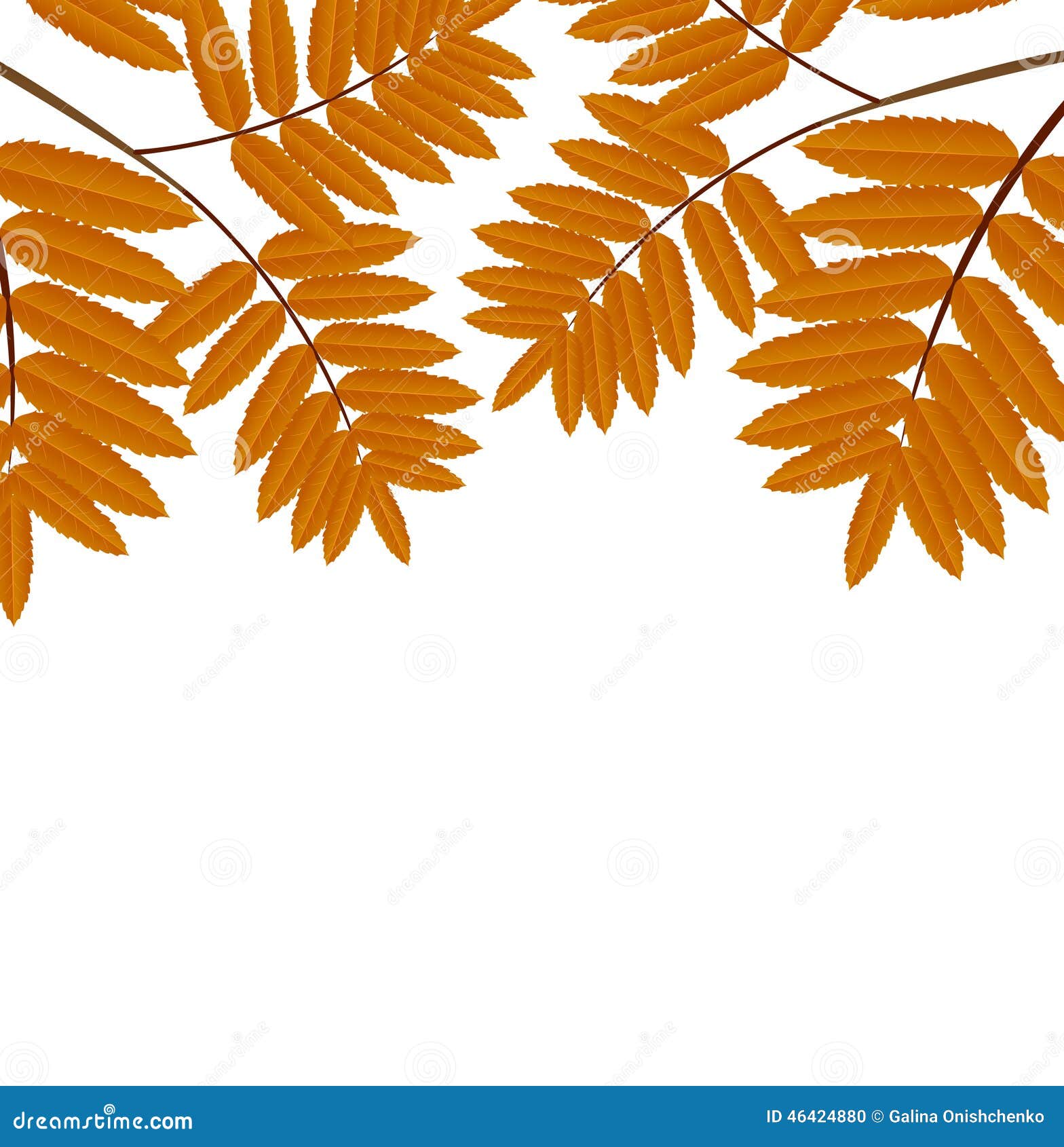 Background for a Design with the Autumn Leaves of Wild Ash Stock Vector ...