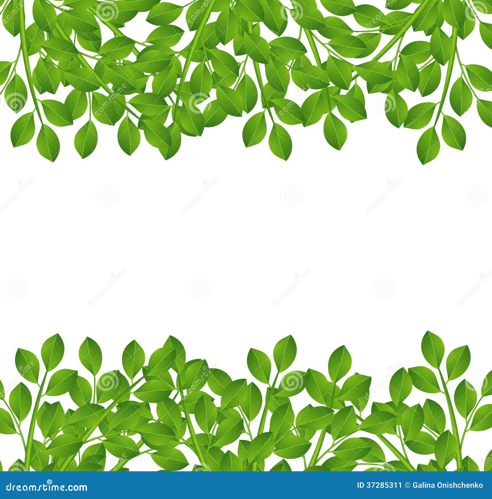 Background for a Design with Green Branches Stock Vector - Illustration ...