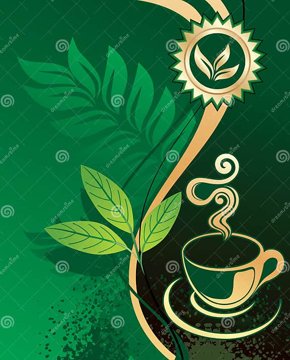 Background for Design - Green Tea Stock Vector - Illustration of ...