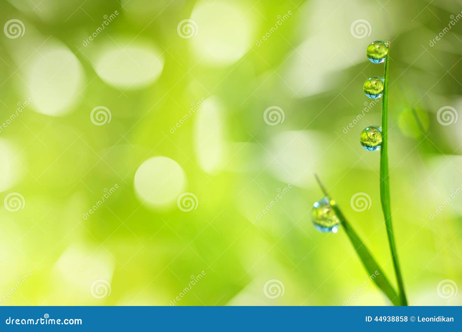 Background with dew stock photo. Image of green, environment - 44938858