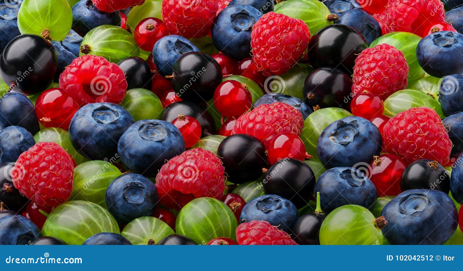 Berries Colorful Assorted Background. Stock Photo - Image of fresh ...