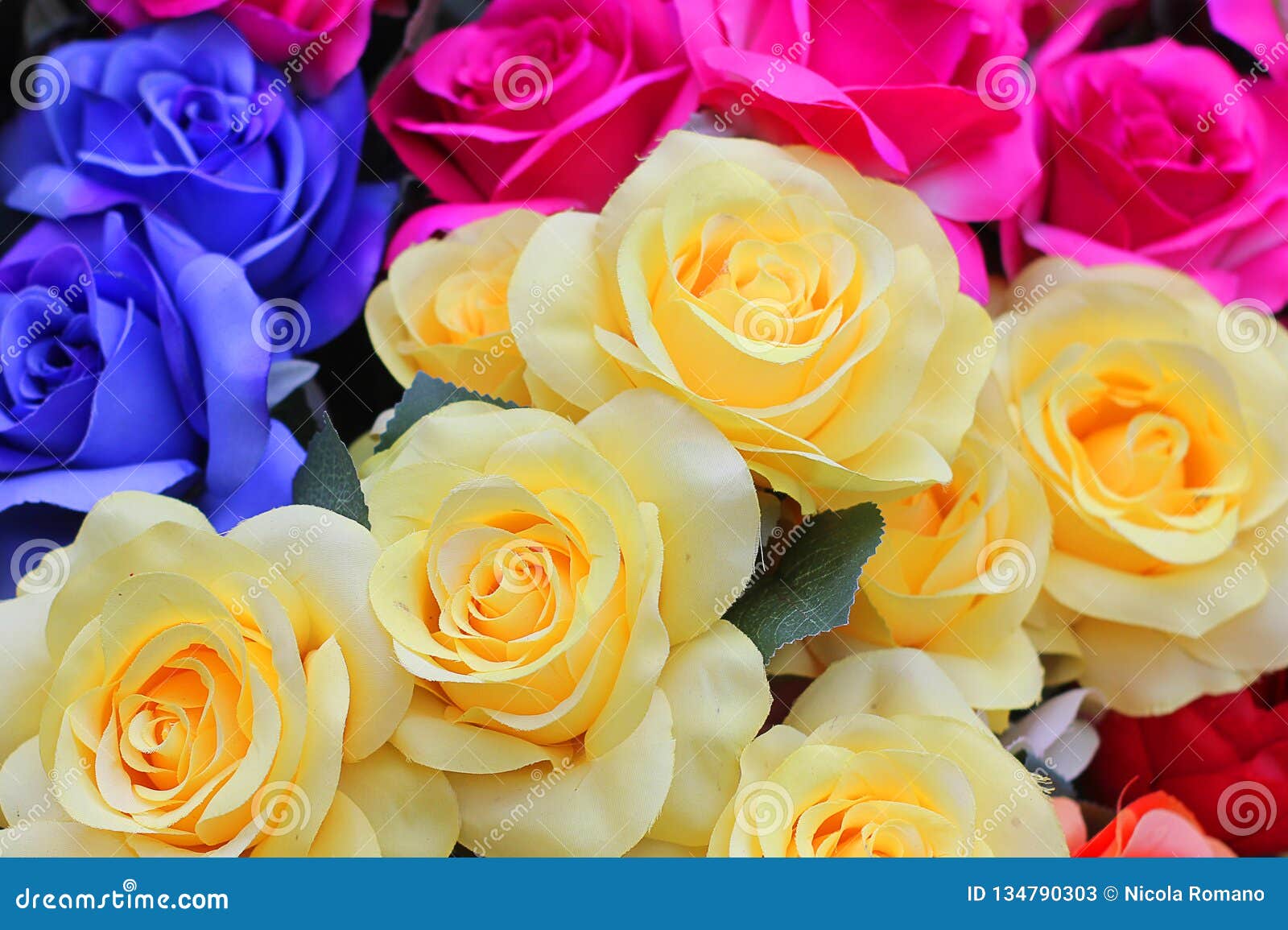 Background with Different Colored Roses Stock Image - Image of leaves ...
