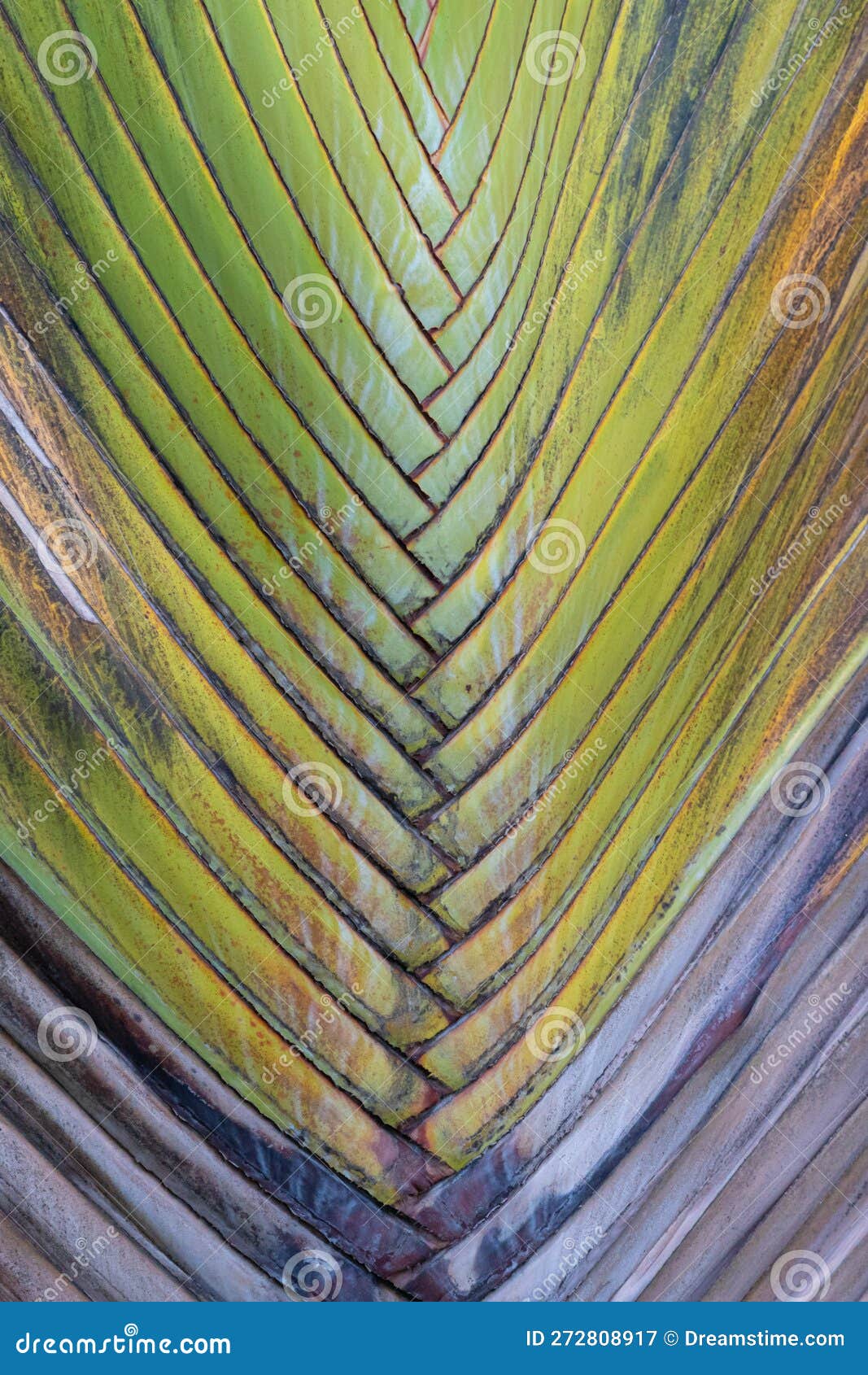 Background with Different Gradients of Focus in the Form of a Large ...